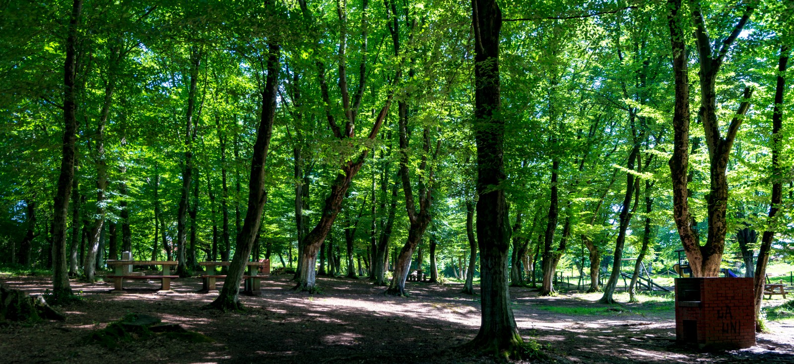 Balamba Tabiat Parkı - Visit Bartın - Bartın Turizm ve Tanıtım Portalı